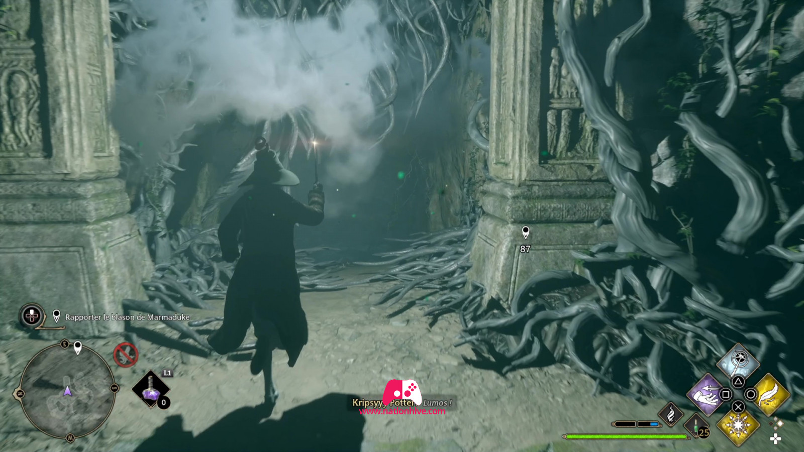 Hogwarts Legacy : L'Héritage de Poudlard - Plant curse | NationHive