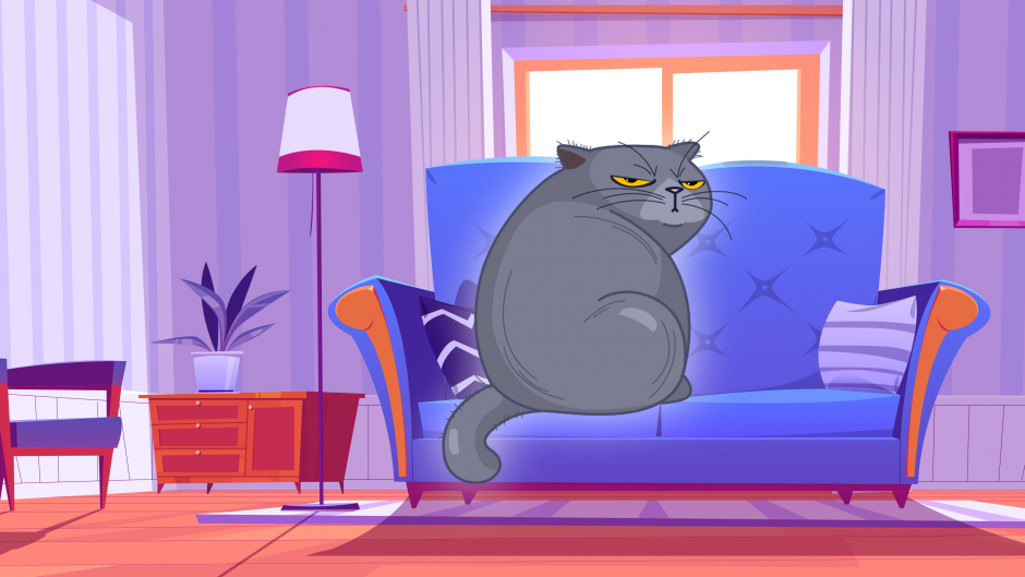 Cat Fun | NationHive