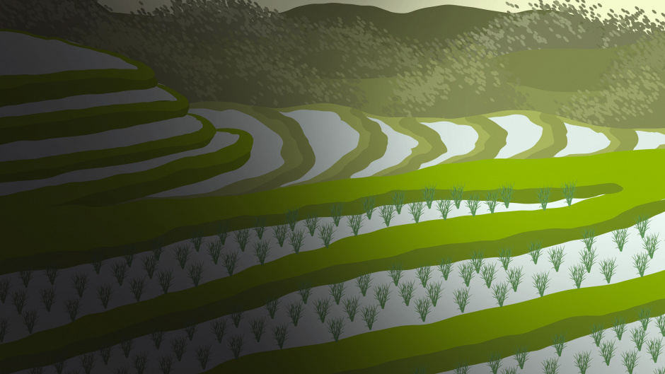 The Rice Story | NationHive