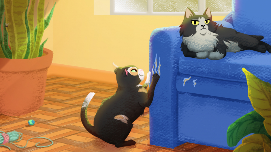 Roll The Cat | NationHive