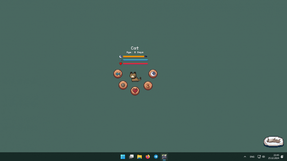 Screen Cat | NationHive