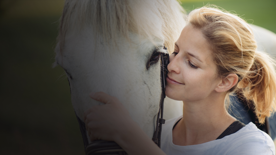Vivre avec des chevaux : mon élevage de chevaux | NationHive